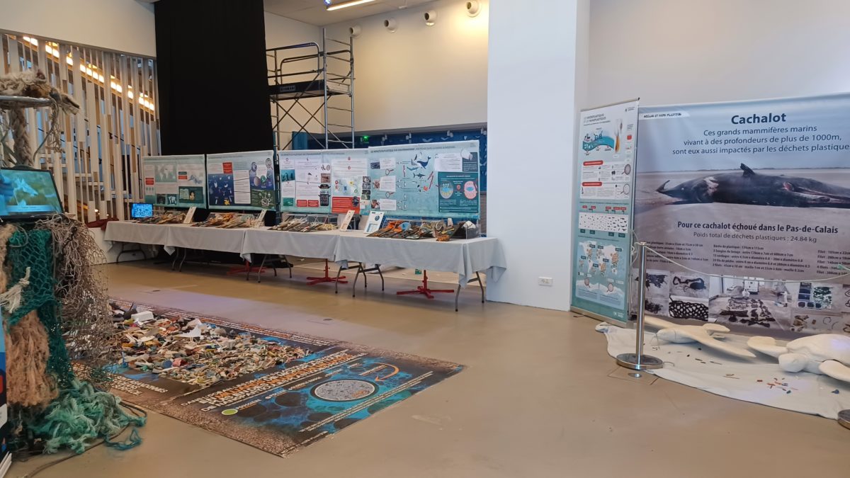 A Rouen, le Pavillon des transitions accueille l’exposition « Océans et ...